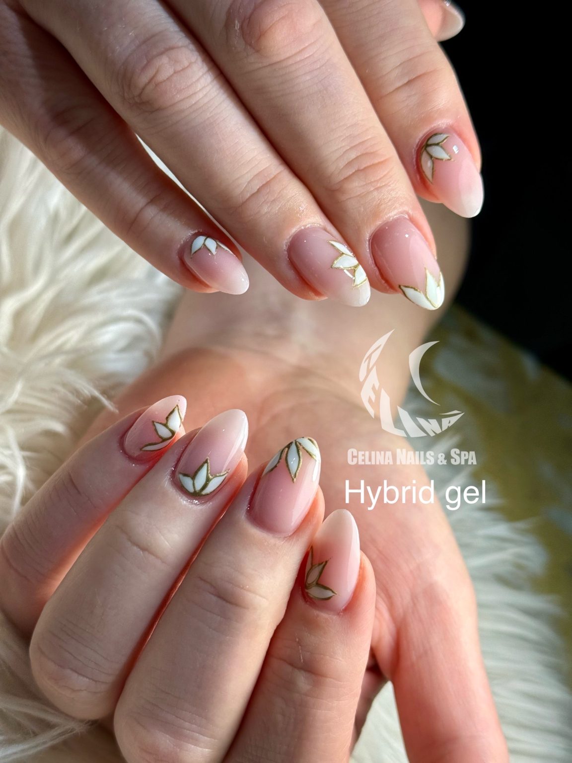 Home - Celinanailandspa